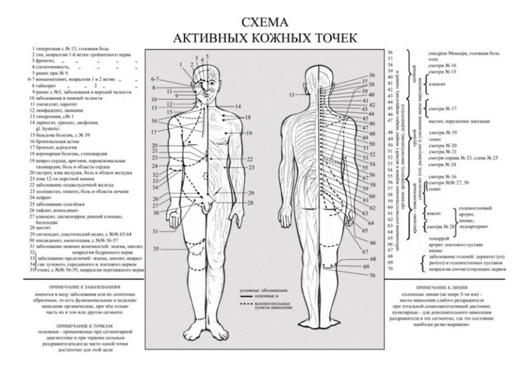 Stimulin-D: eine einzigartige Medizin - Heilpraxis für ganzheitliche ...